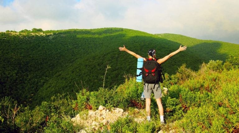 Ecotourism: How to Support Conservation Efforts Through Travel - BNESIM