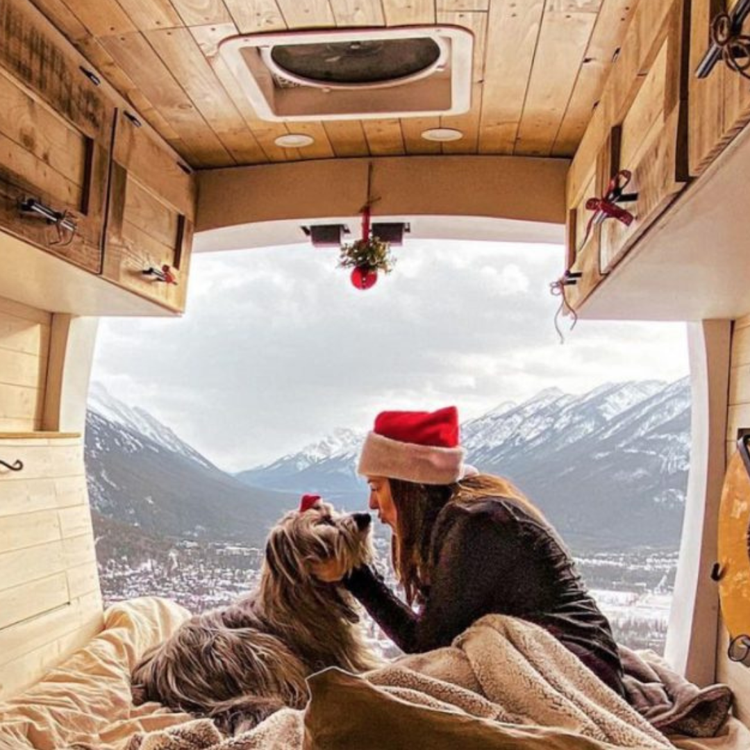 Van Life with Pets