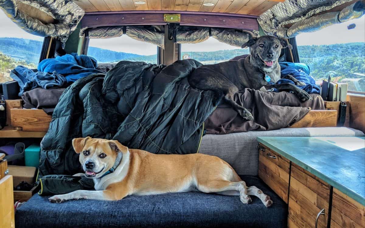Van Life with Pets