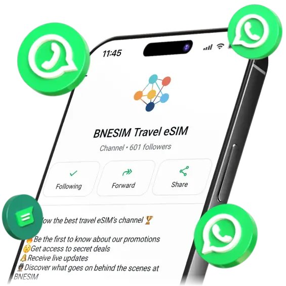 Free WhatsApp Texting Abroad | BNESIM Exclusive